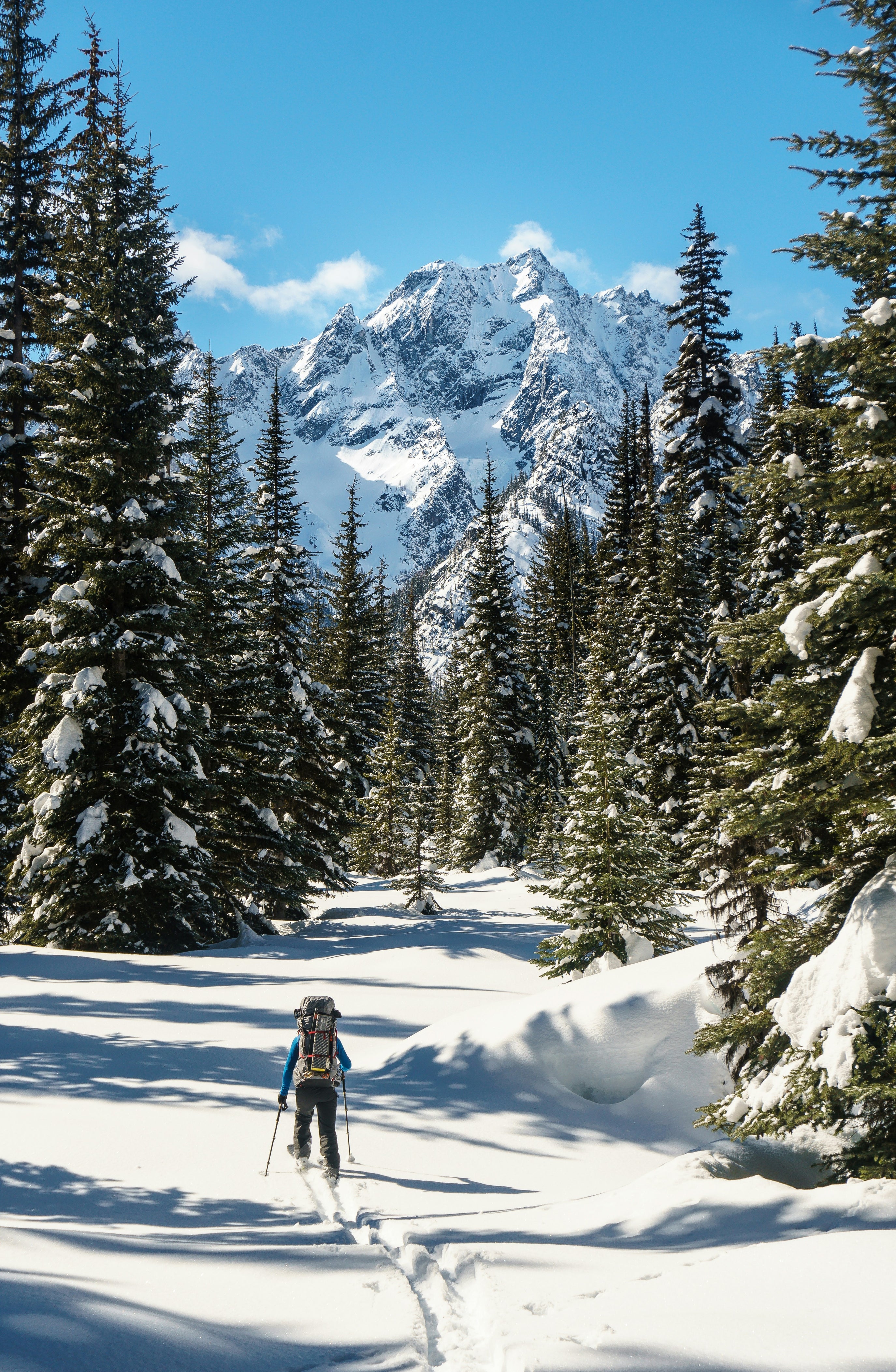 Ski stickers and decals – Ridertags